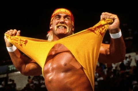 Hulk Hogan's Title History - All Time Wrestlers